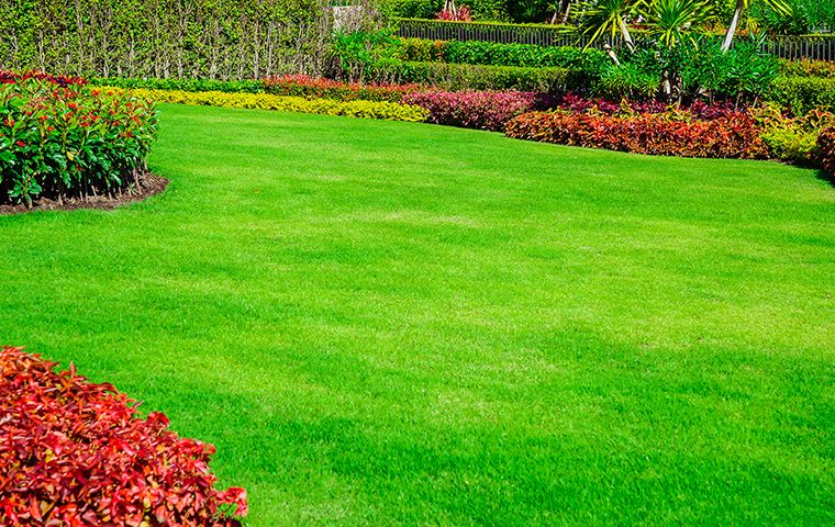 Lush Landscapes 101: Expert Lawn Care Tips For A Gorgeous Somerset Yard ...